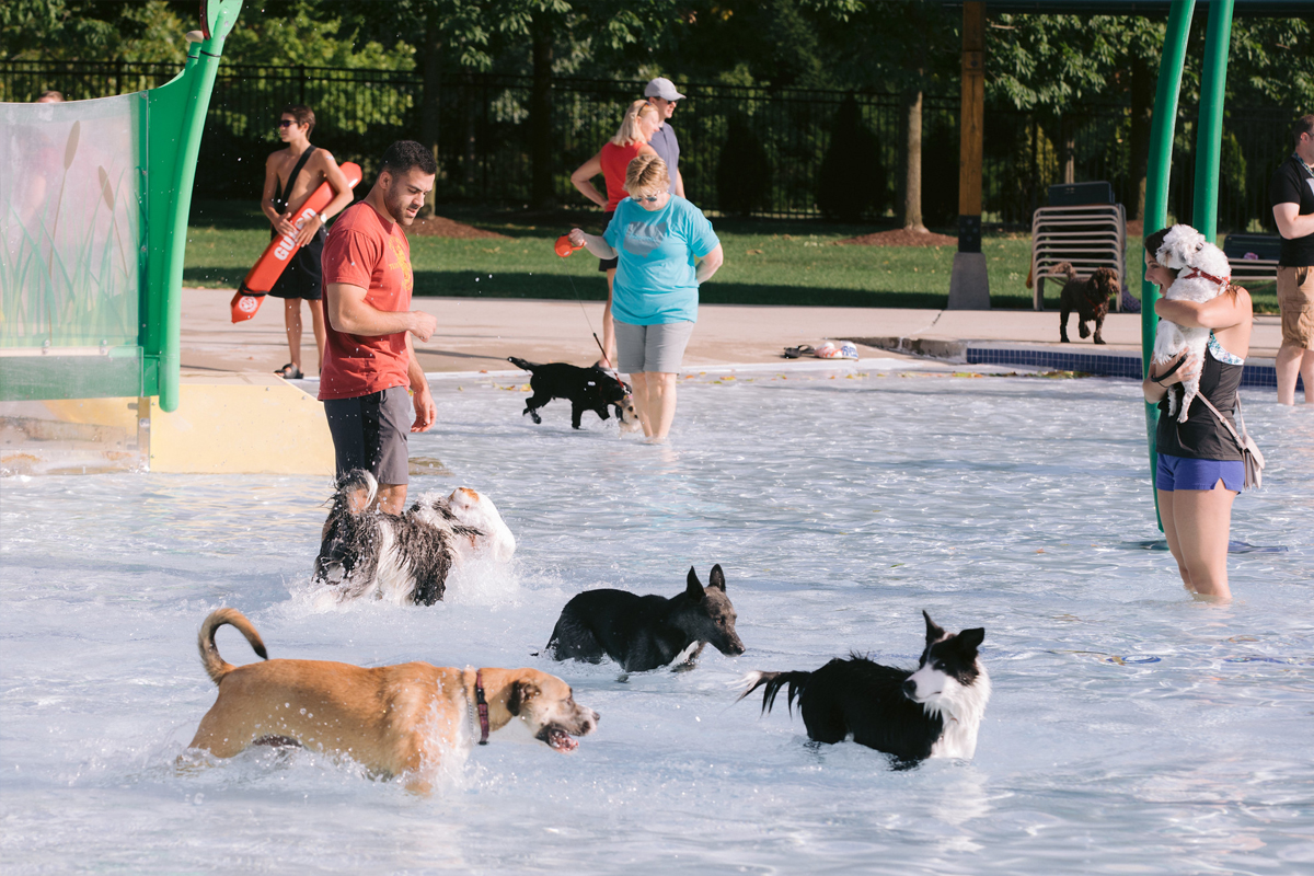 Special Events – City of Dublin, Ohio, USA