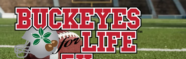 Dublin, Ohio, USA » Construction Updates